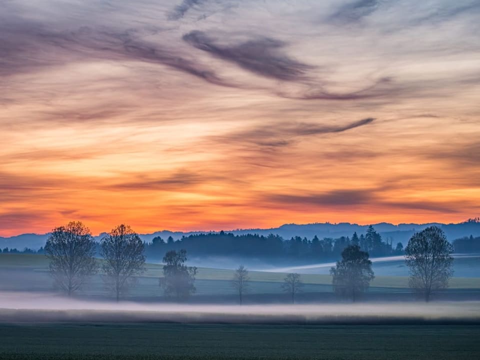 Wetterbilder - Schleierwolken sind aktuell das beliebteste Fotosujet ...