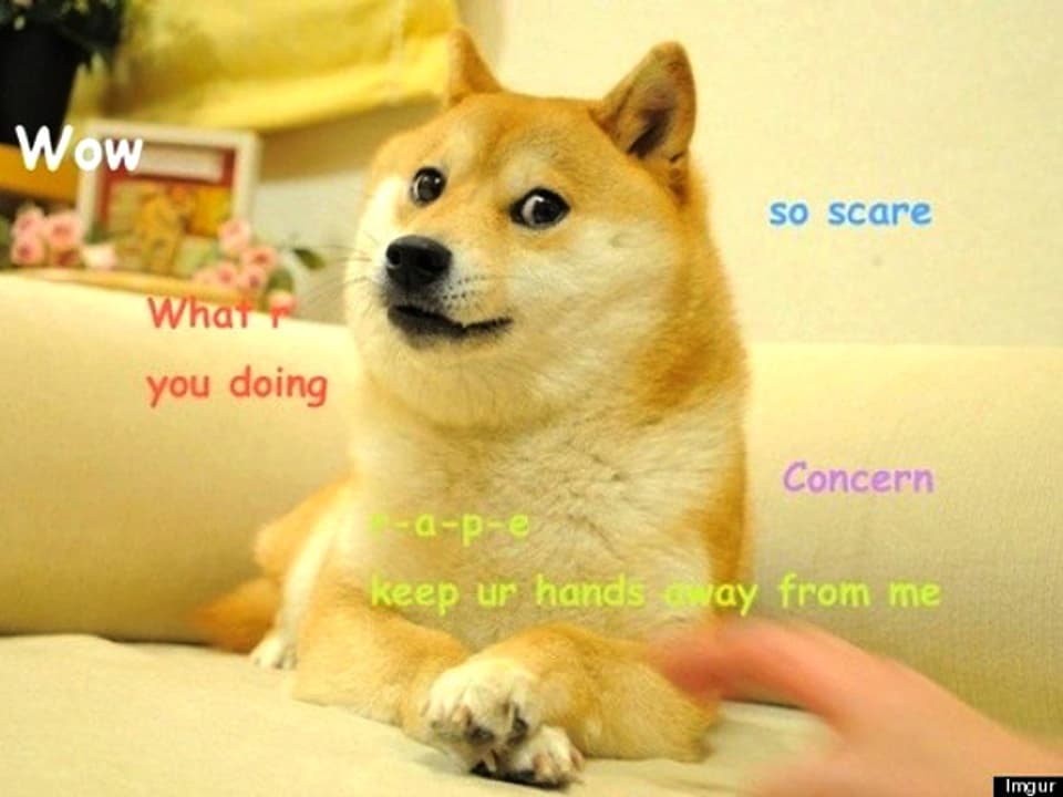 Netzwelt - Die Meme-Highlights des Jahres - Kultur - SRF