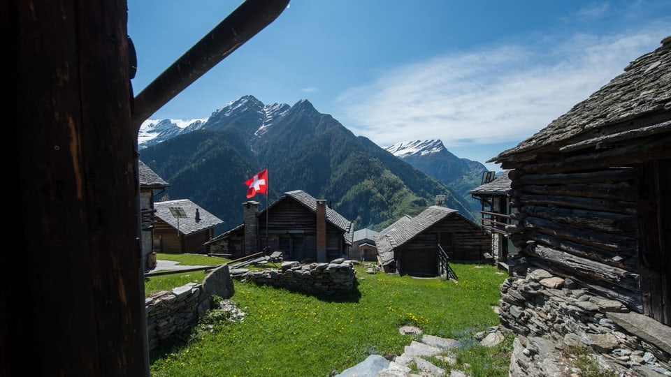 Val dal Blegn - Sajettà luf tar ina stalla da nursas - Novitads - RTR