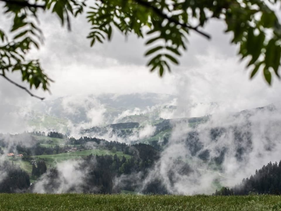 Kondensstreifen - Menschengemachte Wolken am Himmel - Meteo - SRF