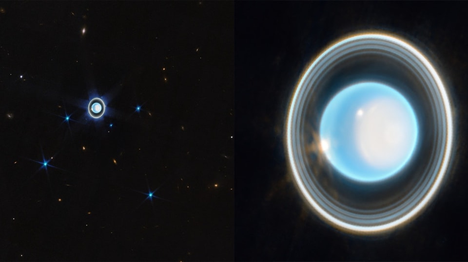 Neues vom James-Webb-Teleskop - Nasa: «Uranus hat noch nie besser ausgesehen, wirklich ...