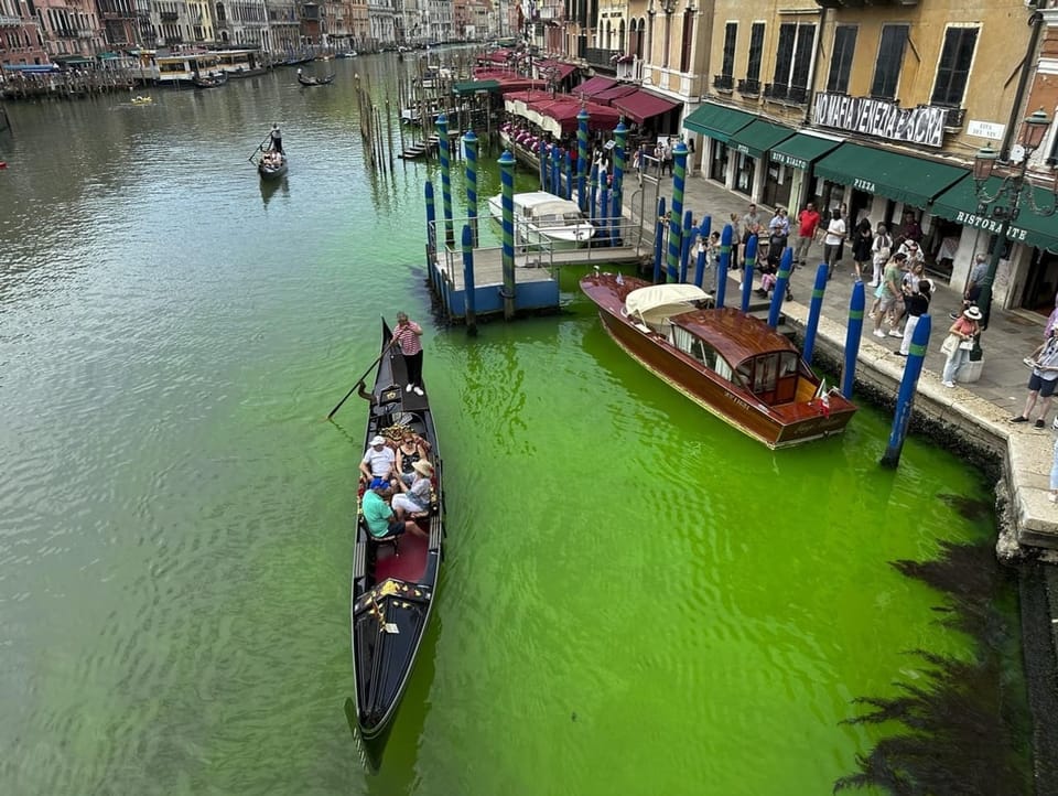 Mögliche Protestaktion? - Canal Grande in Venedig leuchtet grün ...