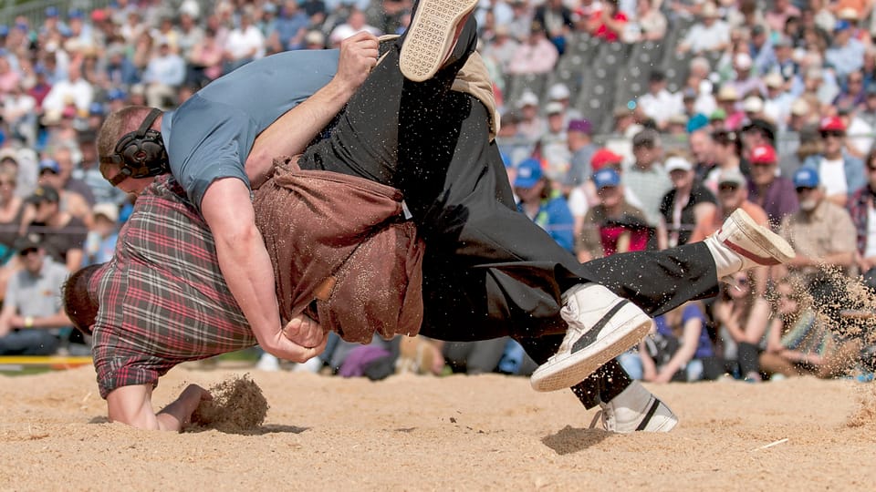 Schwingen - Stucki und Wenger mit Gestelltem - Glarner erbt - Sport - SRF