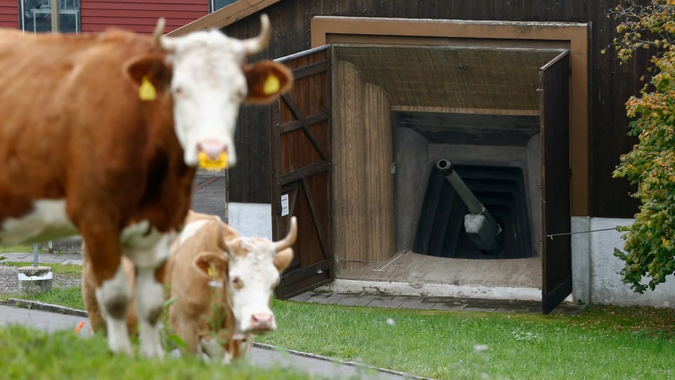 Gotthard - Das zweite Leben der Schweizer Bunker - News - SRF