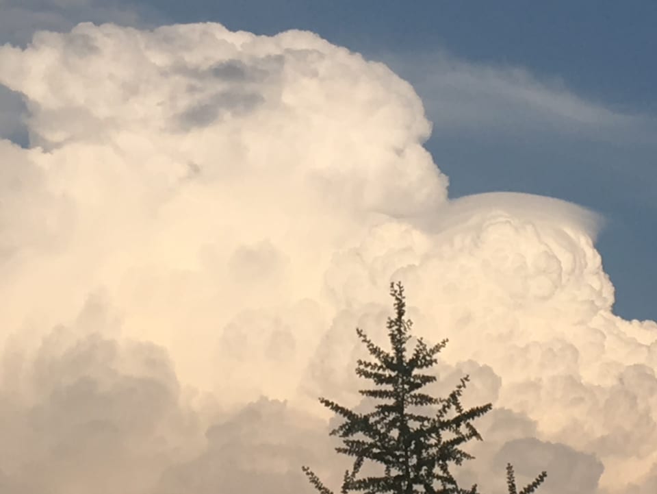 Cumuluswolken - Verschiedenste Wolken am Himmel - Meteo - SRF