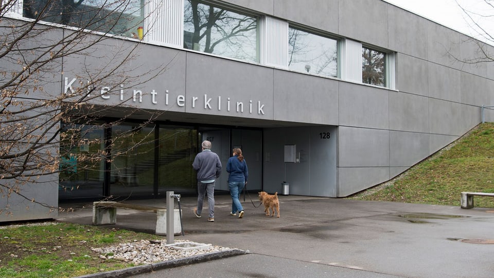 Schweiz - Tierspital Bern: Übermüdete Studenten verwechseln Katheter ...