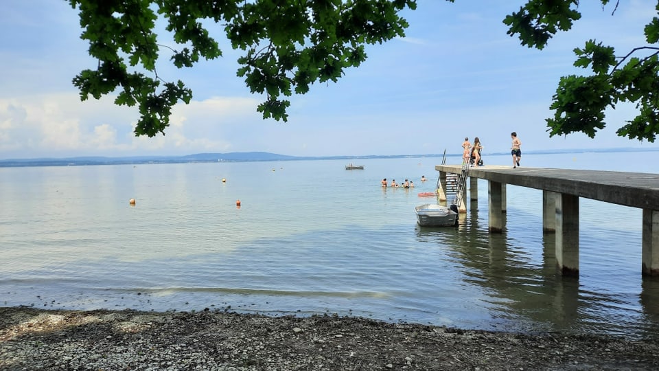 Ein Frühling der Superlative - Viel zu warm, zu trocken und zu sonnig ...