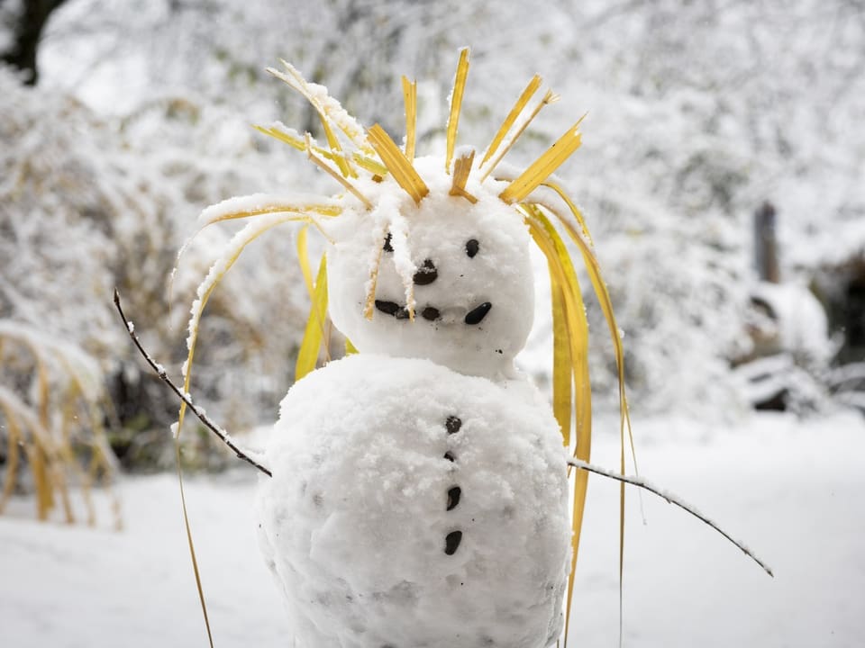 Wetter in der Schweiz - Kommt am Wochenende der grosse Schnee? - News - SRF