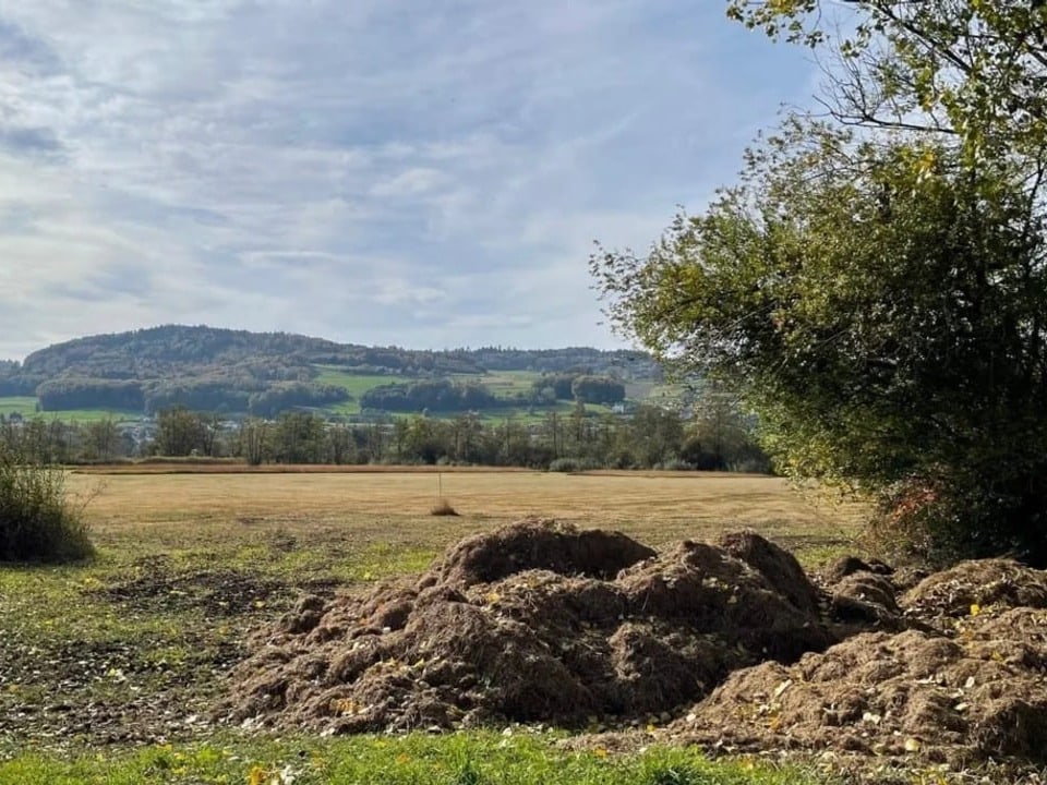 Neues Leben für die Reuss - Artenschutz mit schweren Maschinen - News - SRF