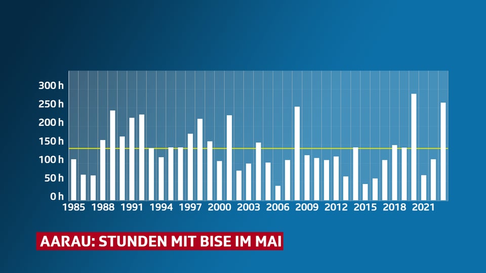 Die Bise - Dauergast im Mai und Juni 2023 - Meteo - SRF