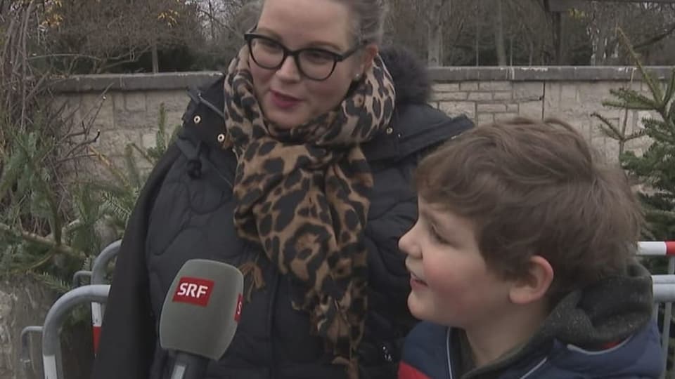 Projekt für Nachhaltigkeit - Basel macht aus alten Weihnachtbäumen ...