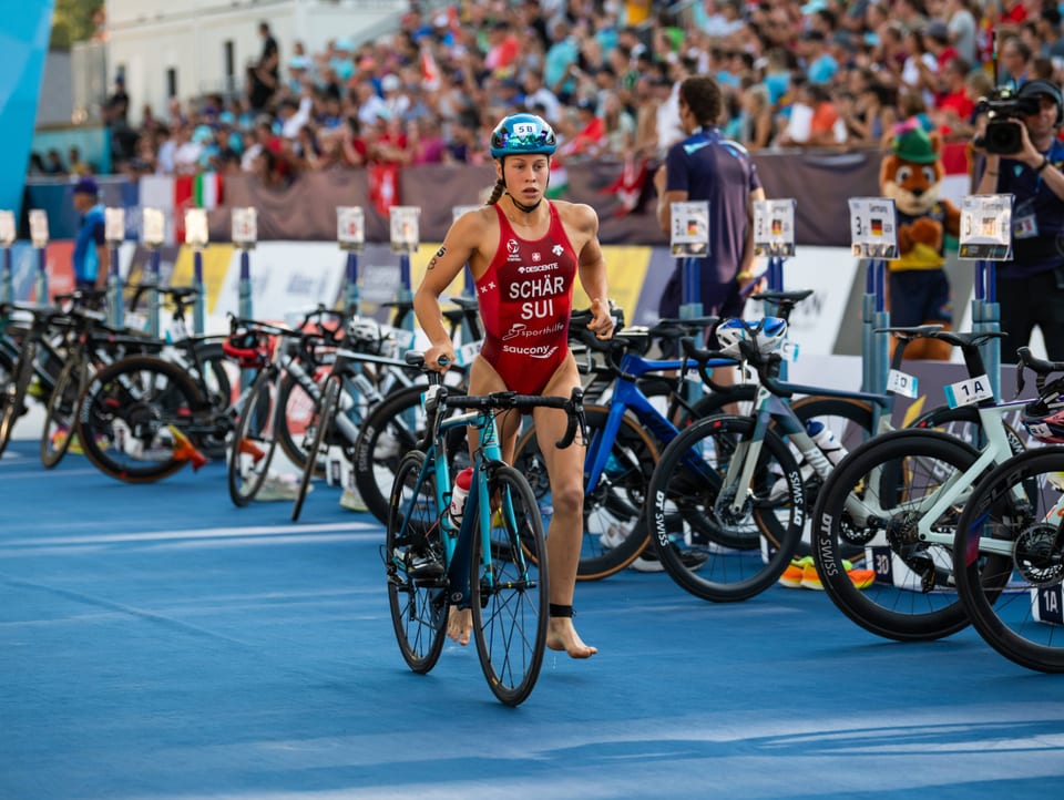 Triathlon-WM in Hamburg - Super-Sprint: Wenn Triathleten gleich ...