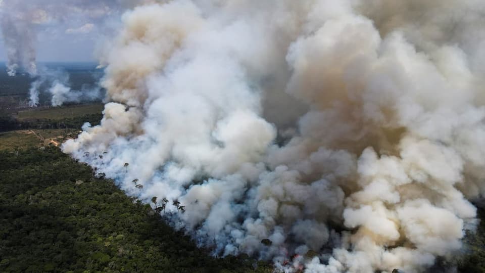 Brandrodungen im Amazonas - «Es werden Fakten geschaffen und der Wald ...