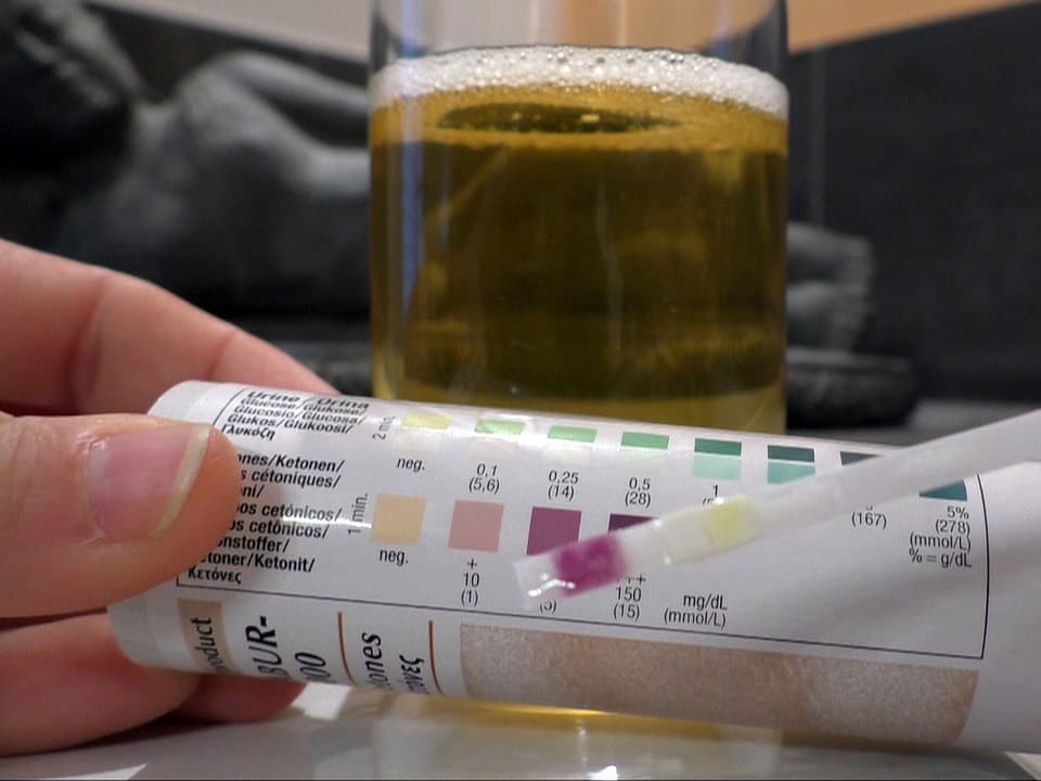 Experiment Fasten - Tag 3: Die Gewöhnungsphase beginnt - Wissen - SRF