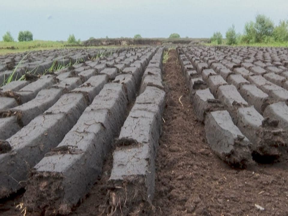 Schädlich fürs Klima - Der Heizstoff Torf ist in Irland heiss ...