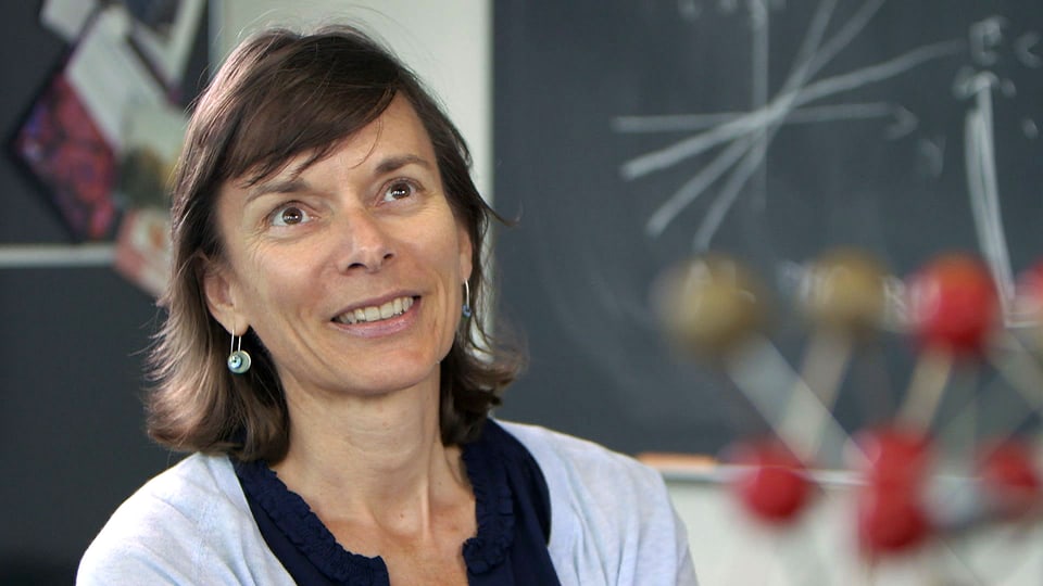 Mensch - Grosser europäischer Forscherpreis geht nach Zürich - Wissen - SRF