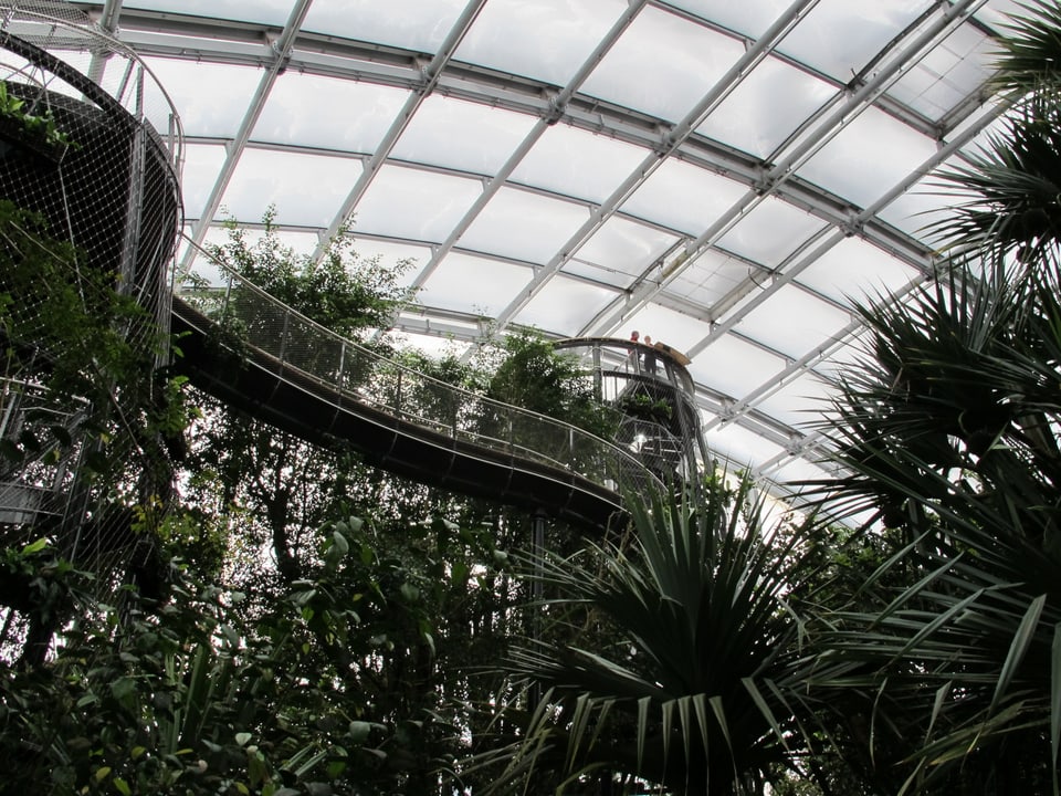 Zürich Schaffhausen - 10 Jahre Masoala-Halle mit einem Blick «von oben ...
