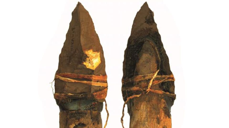 Mensch - Was die ersten Speere über die Evolution des Menschen verraten ...