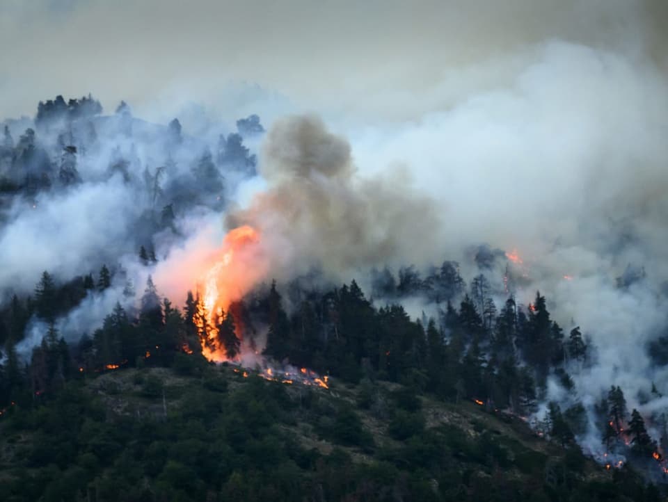 Feuer im Oberwallis - Waldbrand in Bitsch VS weiterhin nicht unter ...
