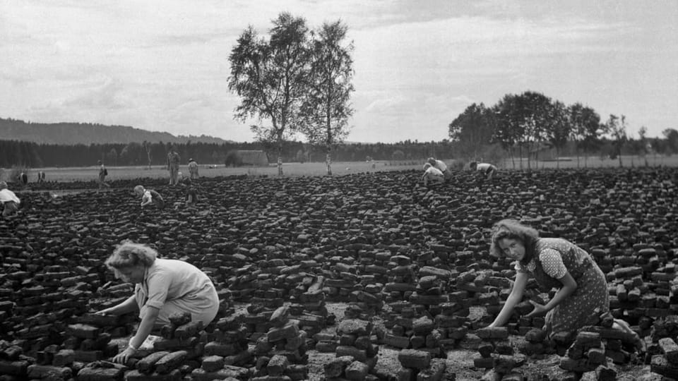 Klimaschädlicher Torfabbau - Weshalb Gemüsebauern am Torf hängen - News ...