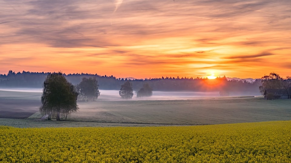Wetterbilder - Schleierwolken sind aktuell das beliebteste Fotosujet ...