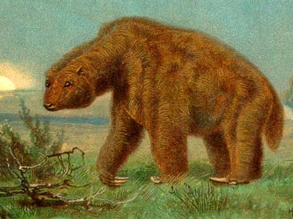 Natur & Tiere - Das folgenschwere Verschwinden der Urzeit-Riesen ...