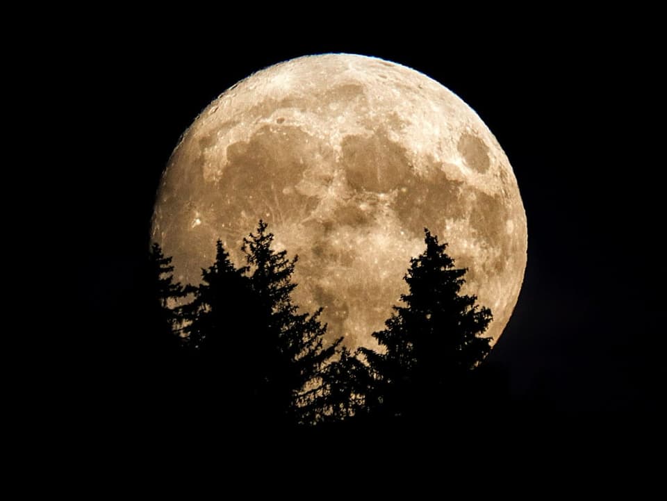 Vollmond - Supermond: die besten Bilder - Meteo - SRF