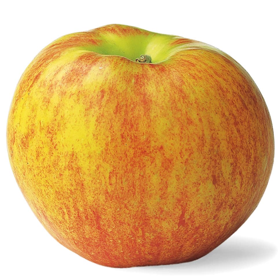 Die Apfel-Hitparade - Die Top 10 der beliebtesten Schweizer Apfelsorten ...