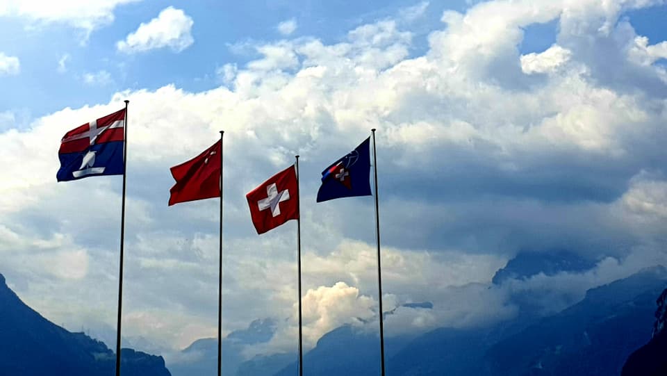 Frühlingswetter 2020 - 2,5 Grad zu warm, extrem sonnig und trocken ...