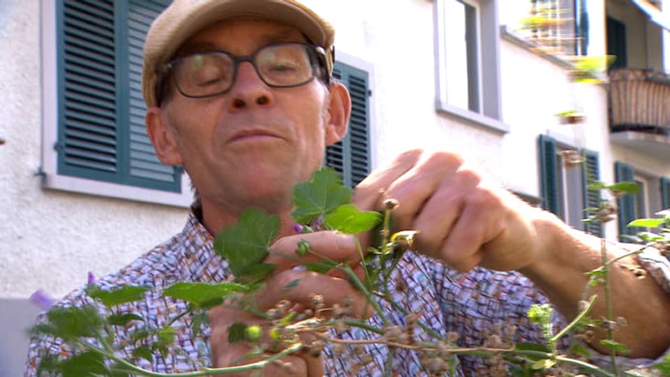 Gesellschaft & Religion - Guerilla-Gärtner macht die Stadt essbar ...