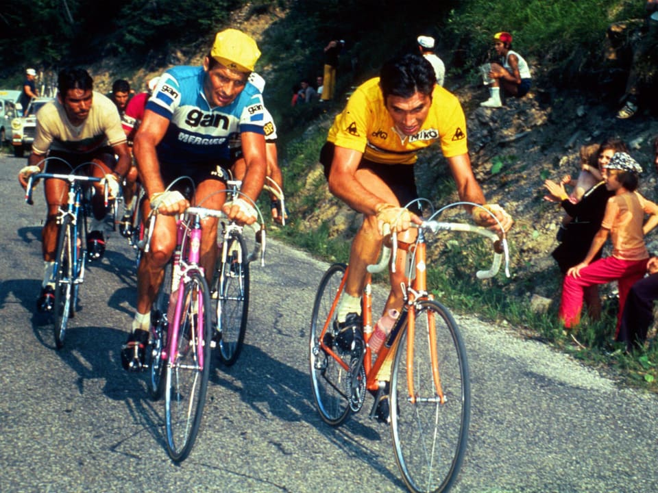 Rad - Eddy Merckx - die lebende Legende wird 70 - Sport - SRF