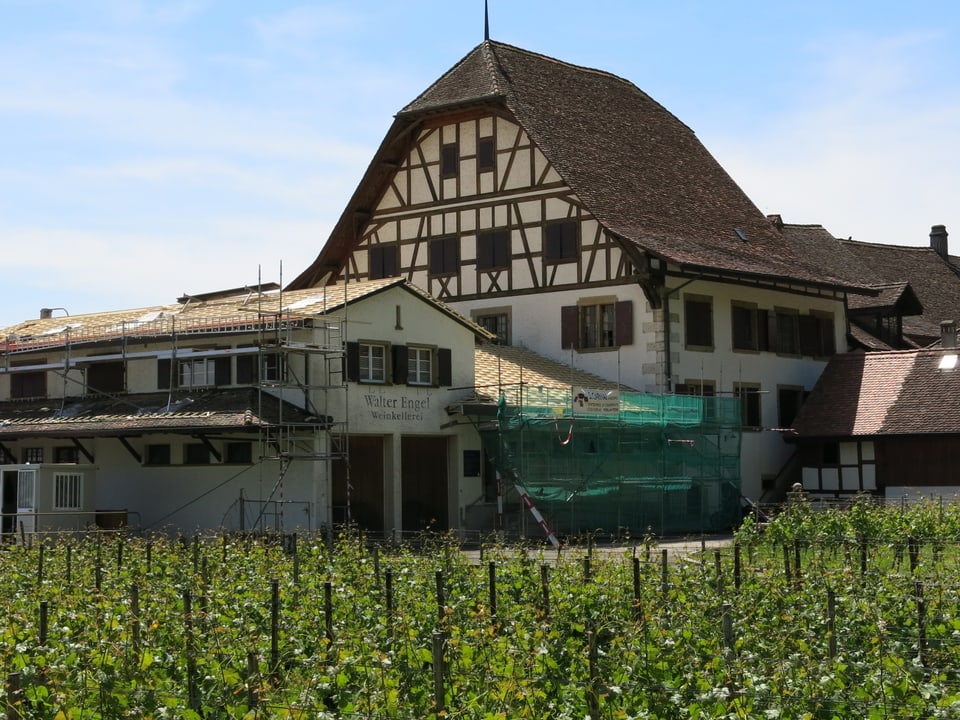 Bern Freiburg Wallis - Twann - ein Dorf im Clinch zwischen ...