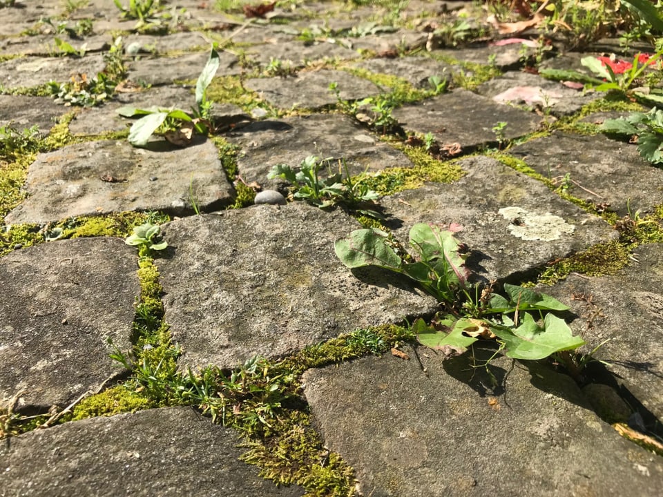 Versiegelung - Heisse Köpfe – Tipps zum Thema Entsiegelung der Böden ...