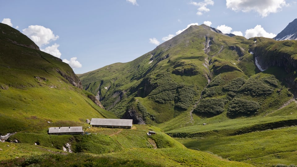 Alp Q&A - Definition einer Alp - Schweiz aktuell am Berg - die ...