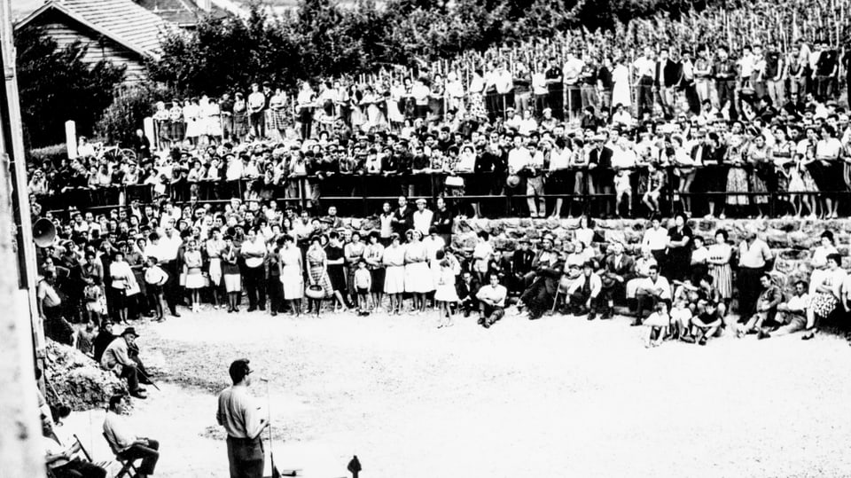 Die Aprikosenrevolte - Als sich Walliser Bauern gegen importierte ...