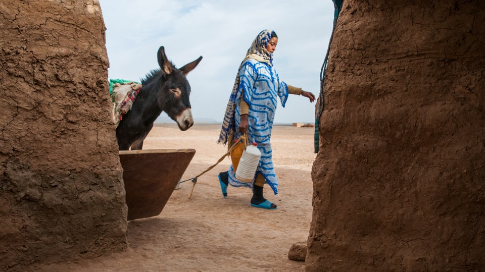 Decolonizing Aid - Die Hilfswerke suchen Wege aus alten Machtmustern ...