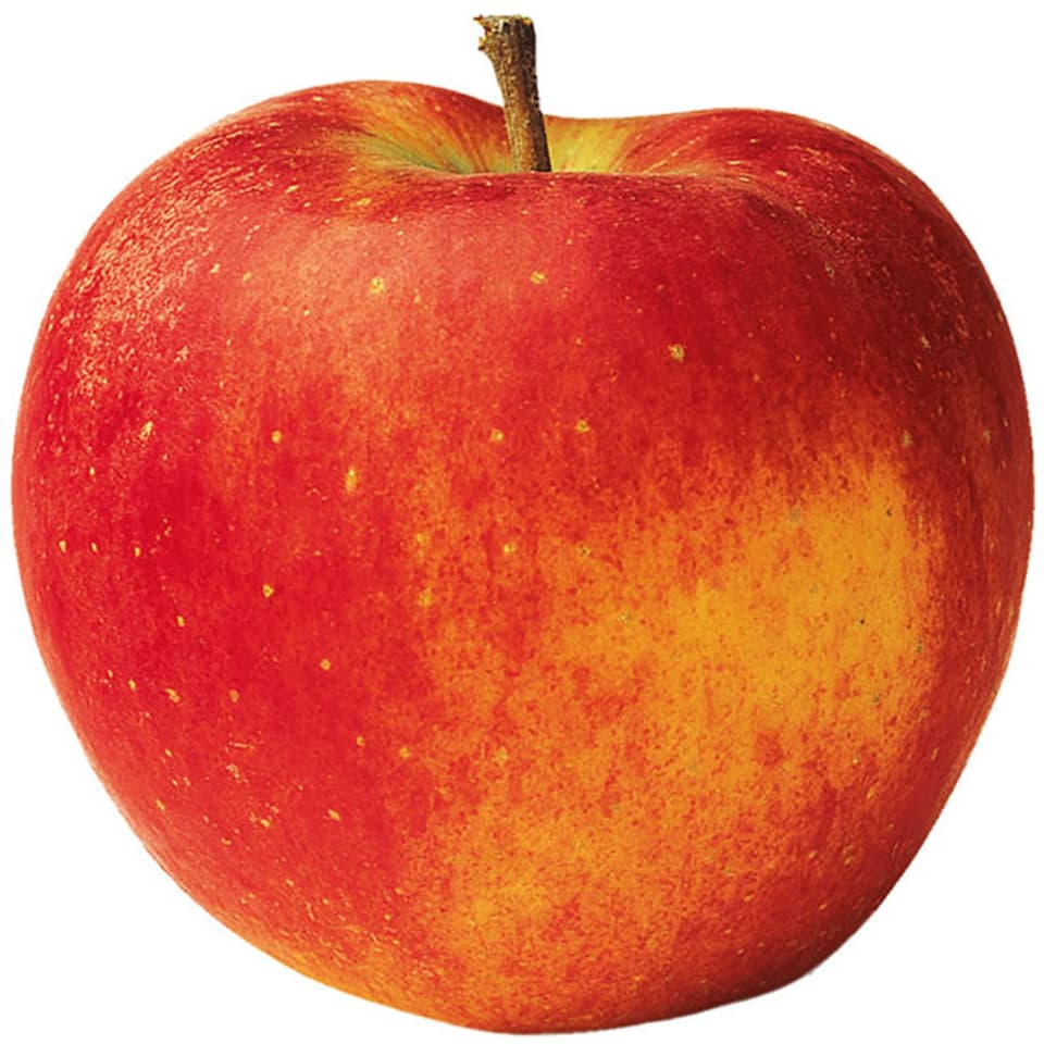 Die Apfel-Hitparade - Die Top 10 der beliebtesten Schweizer Apfelsorten ...