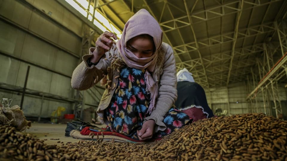 Entscheid des Nationalrats - Afghaninnen sollen weiterhin leichter ...