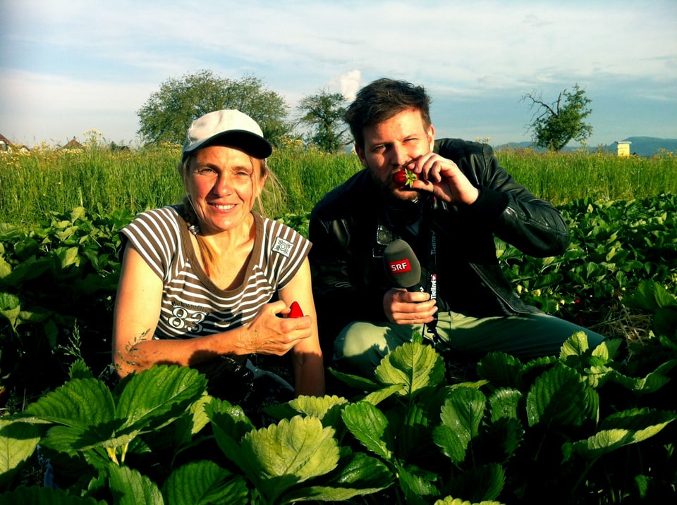 Radio SRF 1 - Frisch vom Feld - Radio SRF 1 - SRF