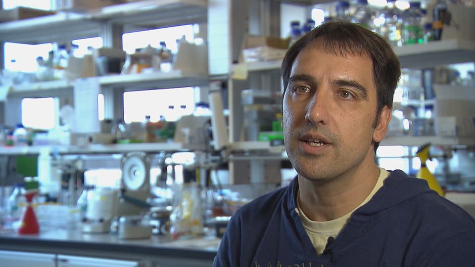 Corona - Tödliches Coronavirus gibt Rätsel auf - Wissen - SRF