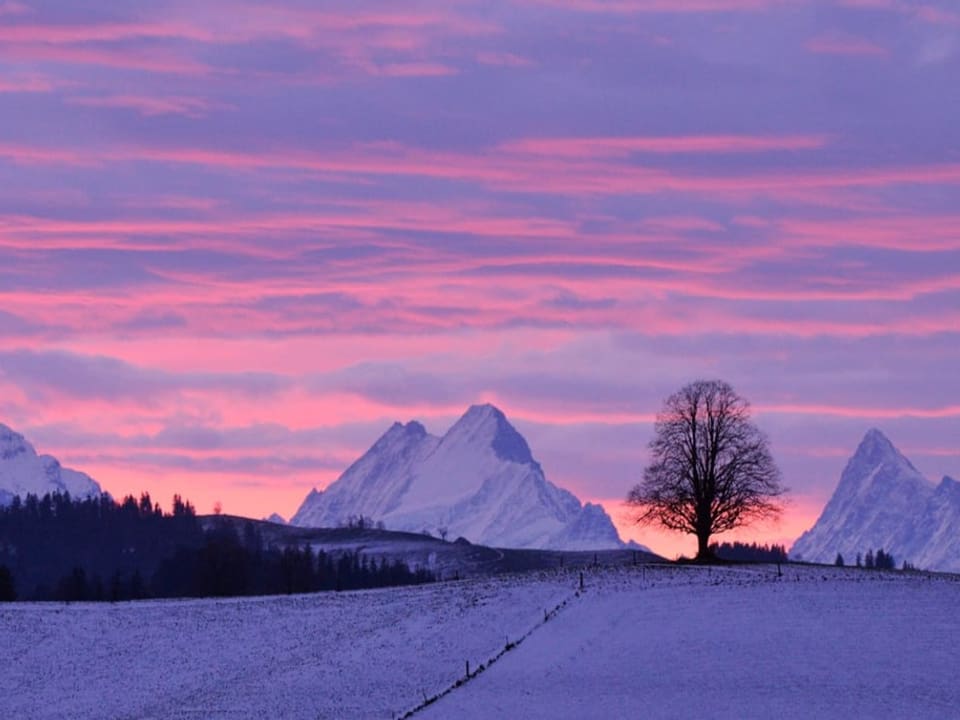 Wetterbilder - In diesen Tagen fantastisches Morgen- und Abendrot ...