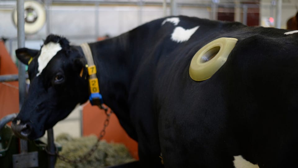 Bern Freiburg Wallis - Zürcher Architekten erweitern Agroscope Posieux ...
