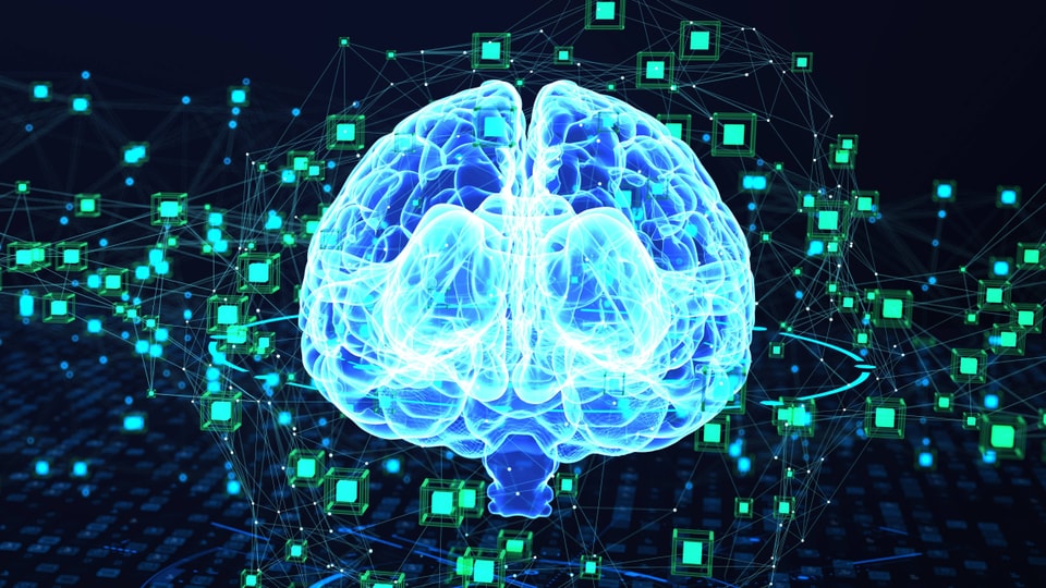 Umstrittenes virtuelles Gehirn - Das Human Brain Project geht zu Ende ...