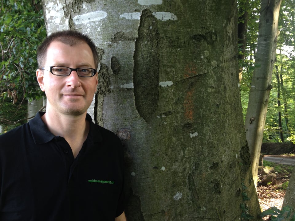 Wirtschaft - «Der Markt gibt den Preis für die Buche nicht mehr her ...