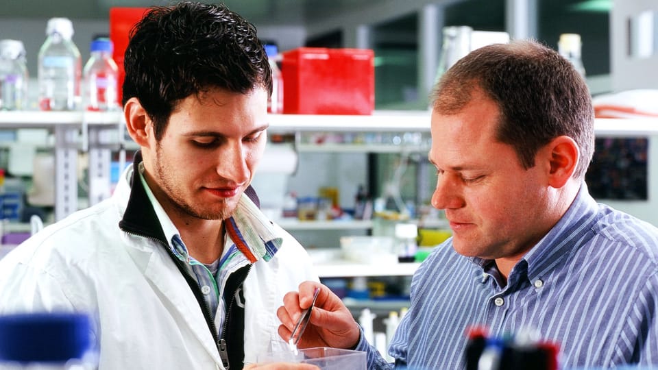 Ostschweiz - Krebsforscher schauen Zellen beim wandern zu - News - SRF