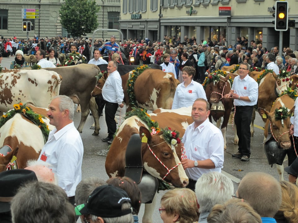 Aargau Solothurn - Solothurner brechen Rekorde am Olma-Umzug - News - SRF
