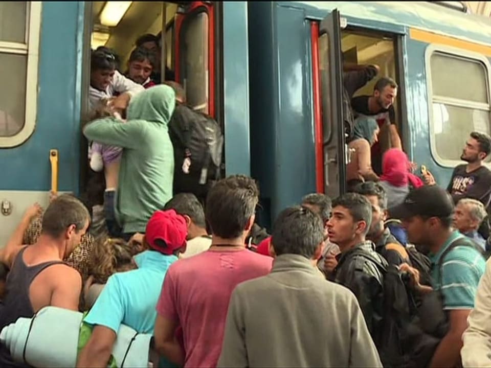 Schwierige Arbeitsintegration von Flüchtlingen in der Schweiz - Dok - SRF