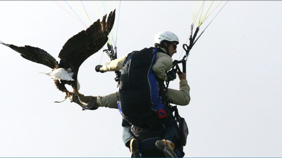 Natur & Tiere - Showtime mit Sherkan - Wissen - SRF