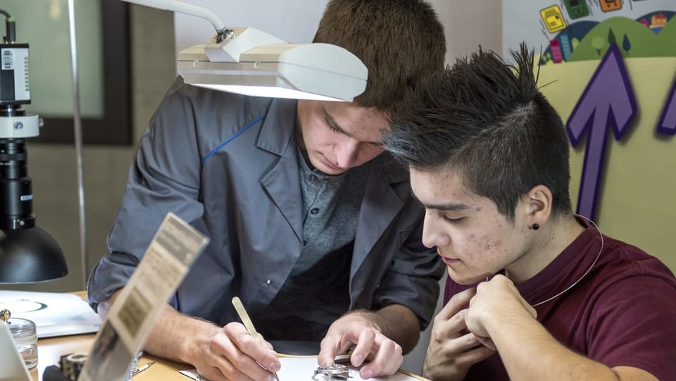 Start in die Lehre - Übertritt von Schule in Lehre überfordert ...