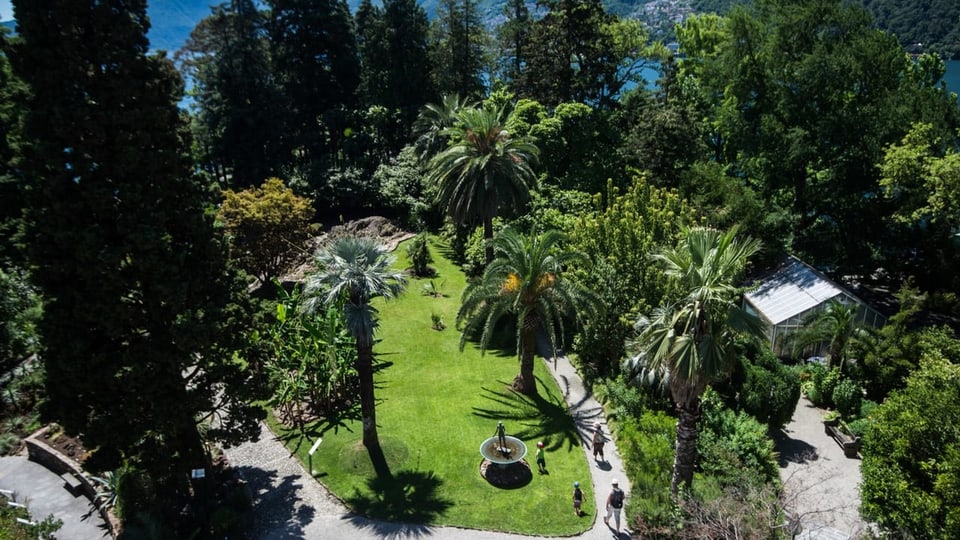 Geschichte der Brissago-Inseln - Für ihn war's das Paradies, für die ...